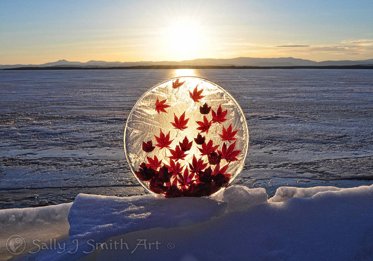 Environmental Sculpture - Sally J Smith Art